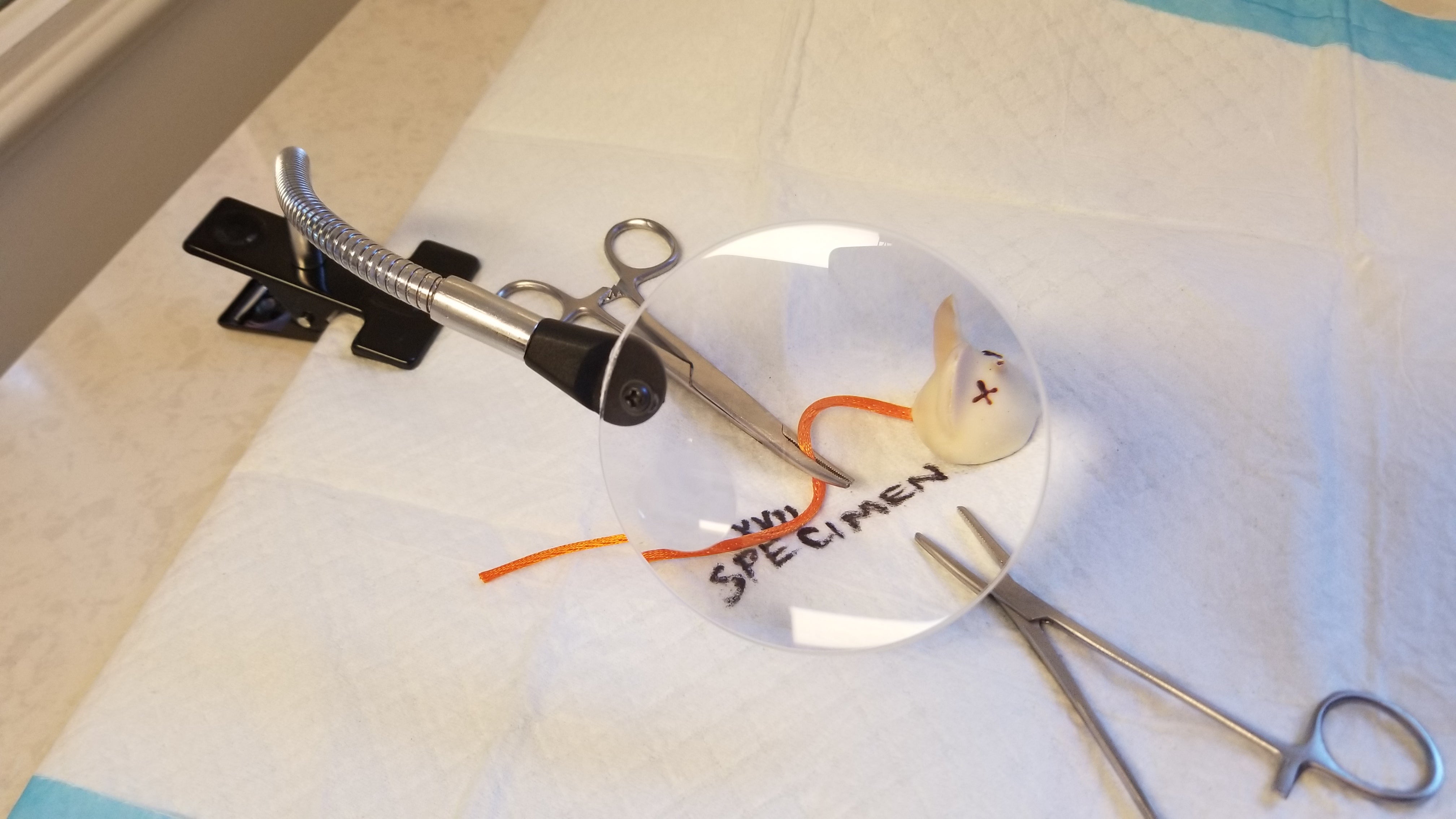 Laboratory Magnifiers – National Supply Company LLC